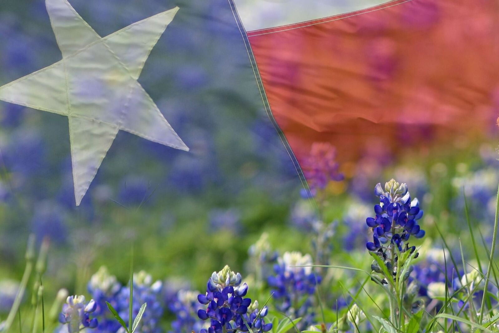 Lea Associates Launches in TX: A Dream Come True | Lea Associates ...